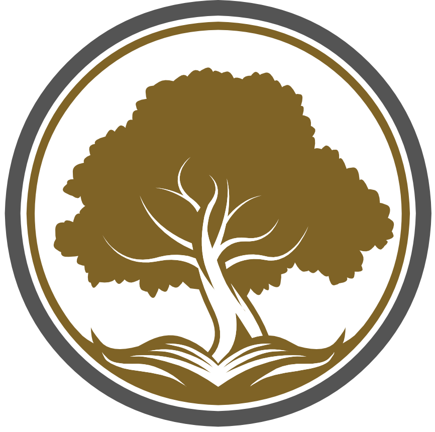 Schüßler Salze Masterkurs